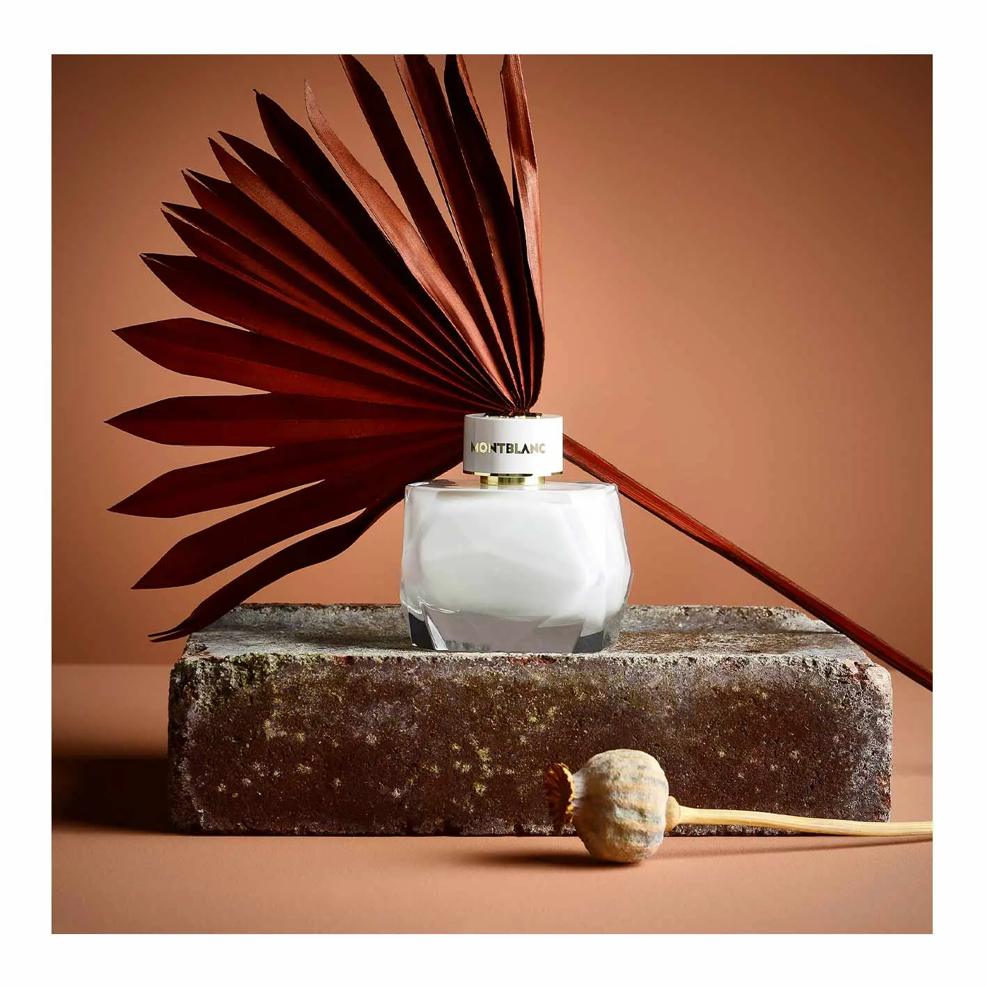 בושם לאישה SIGNATURE א.ד.פ MONTBLANC - מון בלאן | Onlys