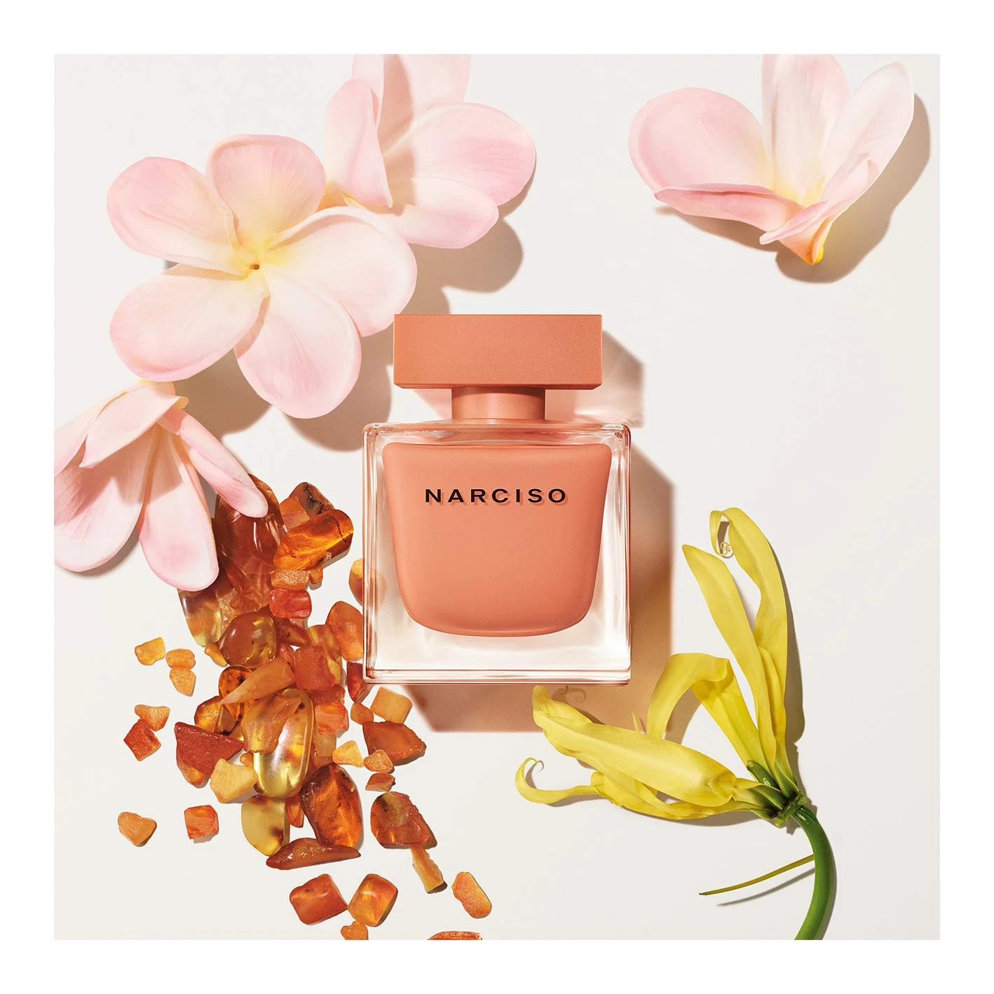 בושם לאישה AMBREE NARCISO RODRIGUEZ א.ד.פ | Onlys